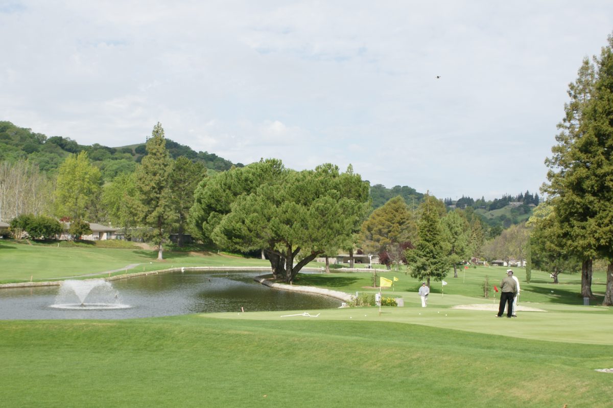 Rossmoor Open House BLITZ 1/24 - The East Bay's Home Searcher